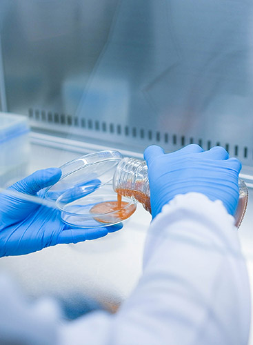 Bioanalytica Services